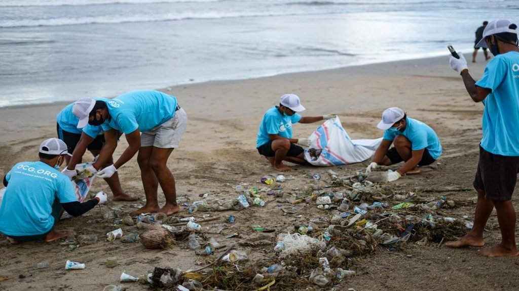 Do Beach Cleanups Actually Help? | SustainabilityNook